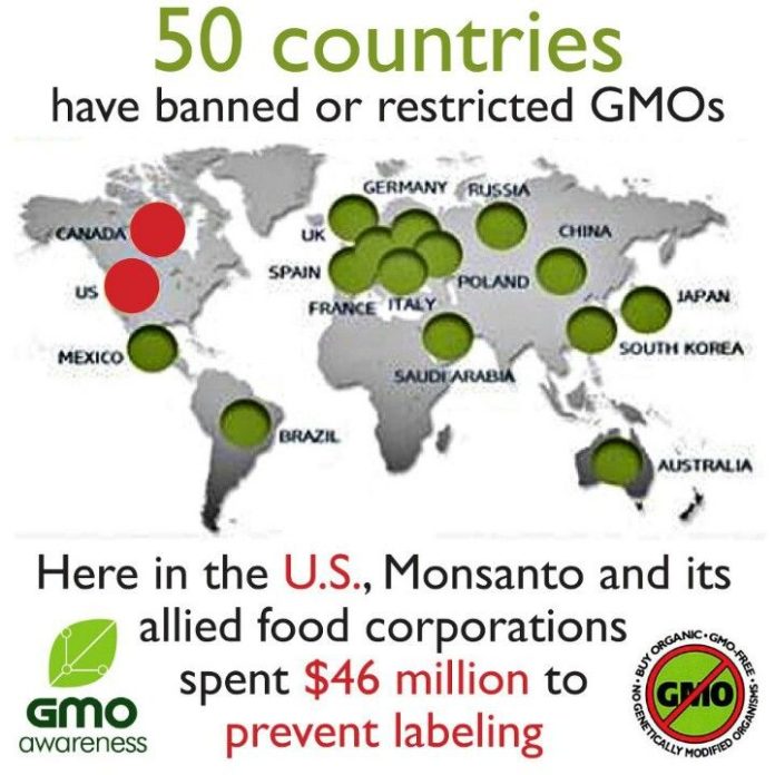 Monsanto, the World & GMO’s | Stars Rite